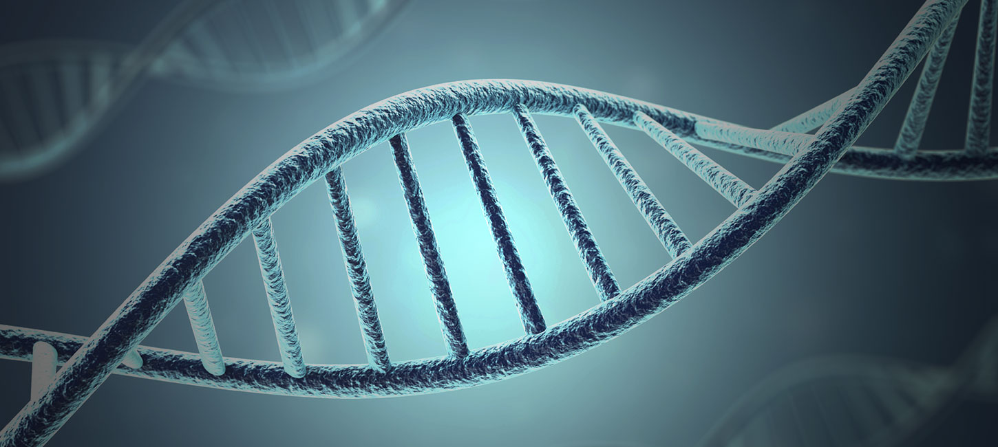 Homepage | ANDERA PARTNERS